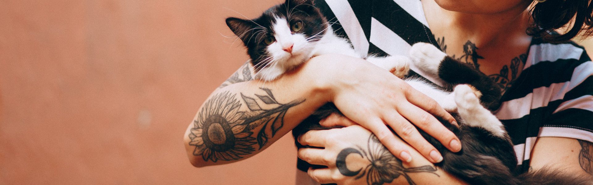 Consent Form | Courtyard Animal Hospital